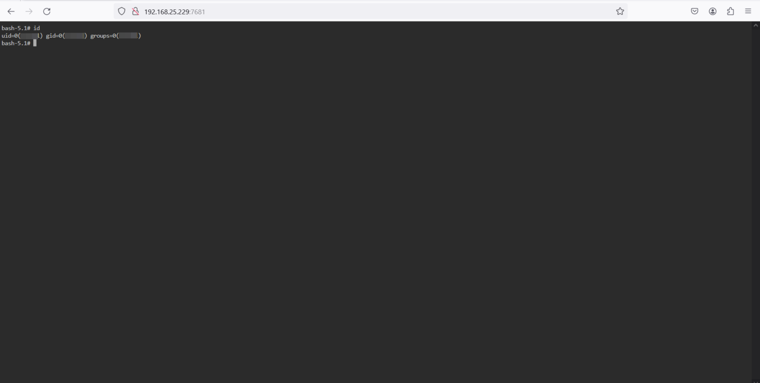 How to install and use ttyd app (share your terminal over web) – TerraMaster Community Place